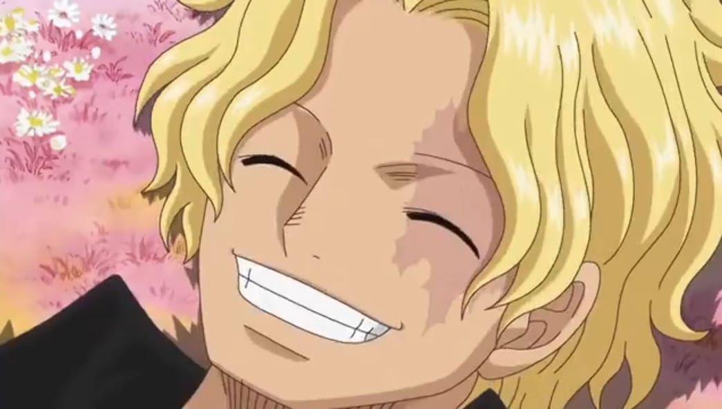 Who is Sabo in One Piece?