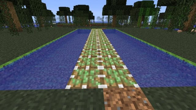 5 best Minecraft bridge designs for beginners