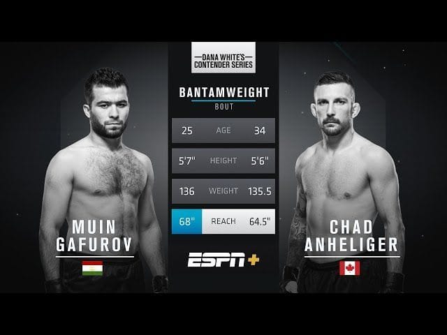 Chad Anheliger vs. Heili Alateng: Height, reach, weight and UFC record ...