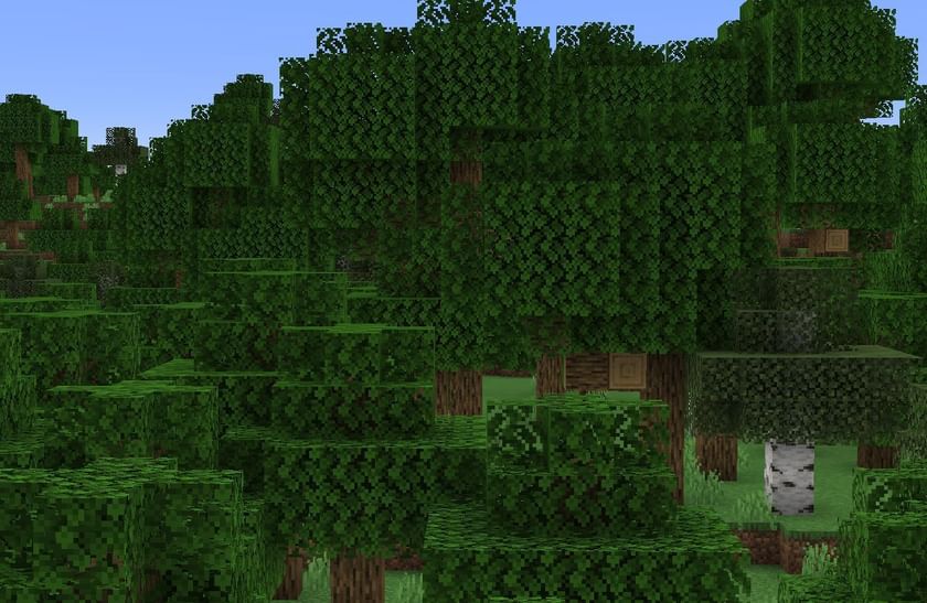 Forest in Minecraft