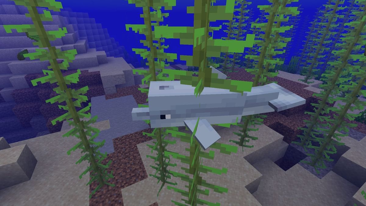 Top 5 underwater mobs in Minecraft 1.19