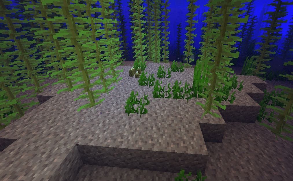 Cold Ocean in Minecraft