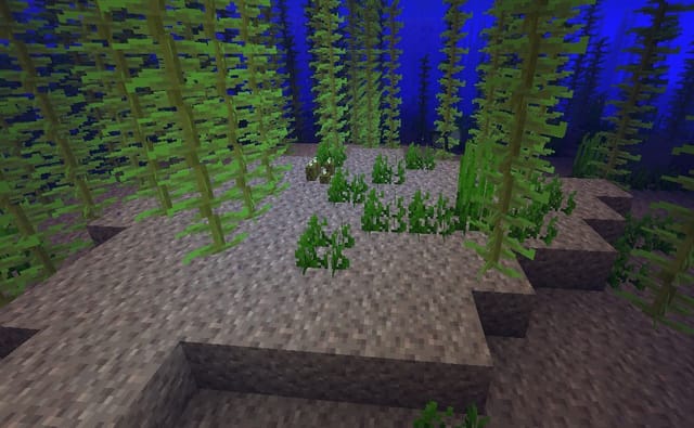 Cold Ocean in Minecraft