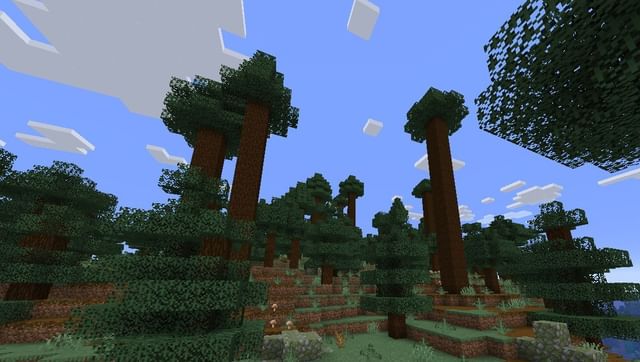 Giant Tree Taiga Hills in Minecraft