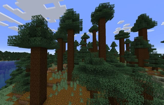 Giant Tree Taiga Hills in Minecraft