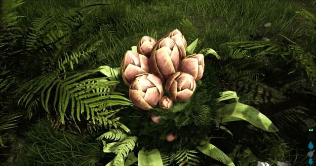 ARK Fjordur's best locations to get Plant X and Plant Y seeds