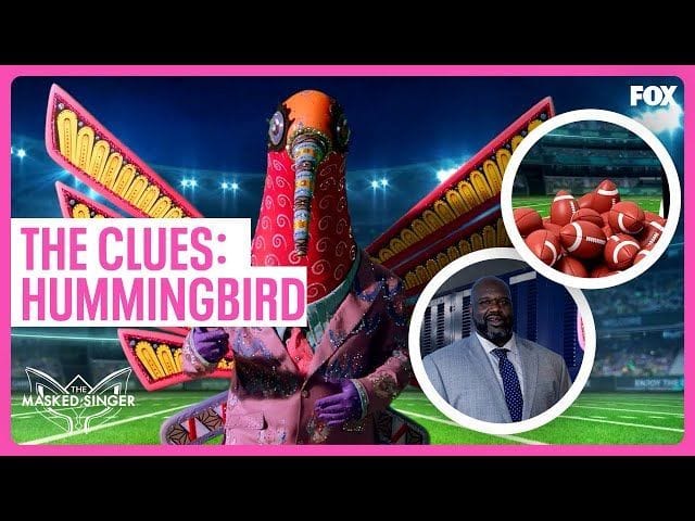 The Masked Singer: Fans think Hummingbird is Chris Kirkpatrick