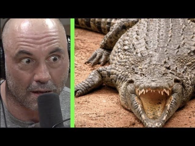 When Forrest Galante told Joe Rogan about the Ramree massacre