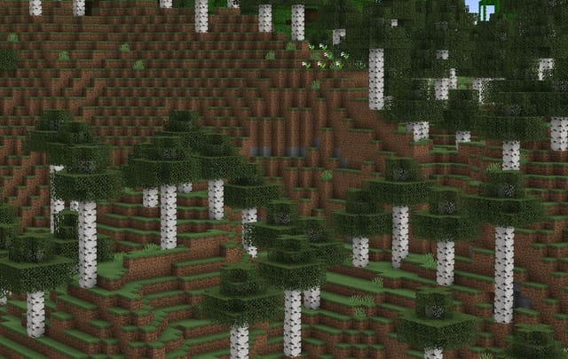 Birch Forest Hils in Minecraft