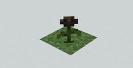 Wither Rose In Minecraft