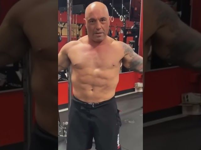Joe Rogan's transformation on carnivore diet