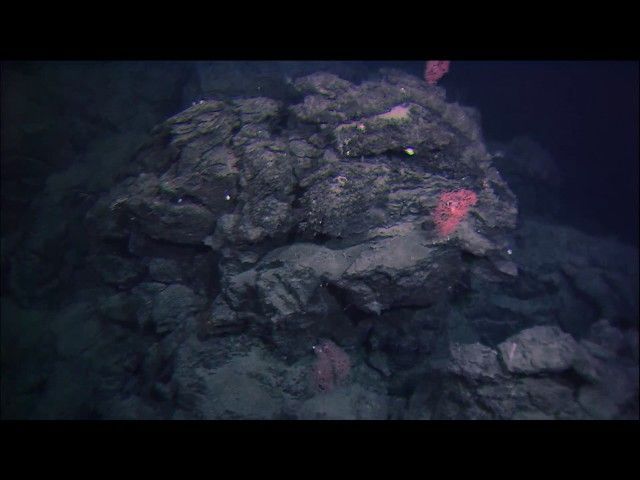 Underwater volcano: Southwest Pacific Ocean eruption leads to island ...