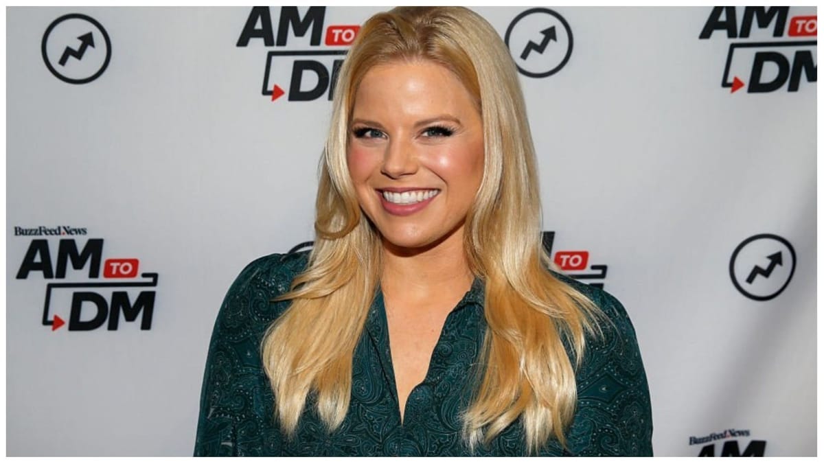 Who is Megan Hilty? Smash actress's family dies in tragic plane crash