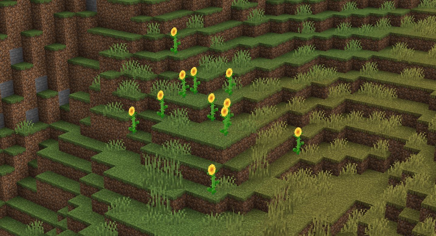 Sunflower in Minecraft