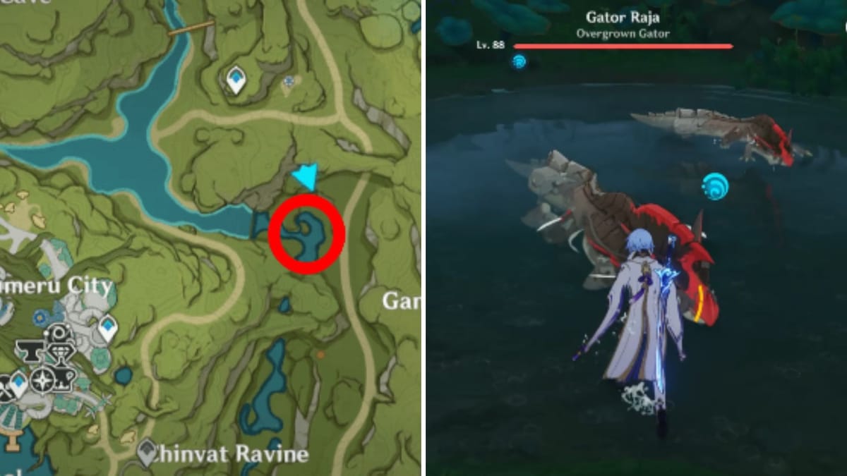 Where Are the Fierce Creatures? Secret Genshin Impact Sumeru reputation ...