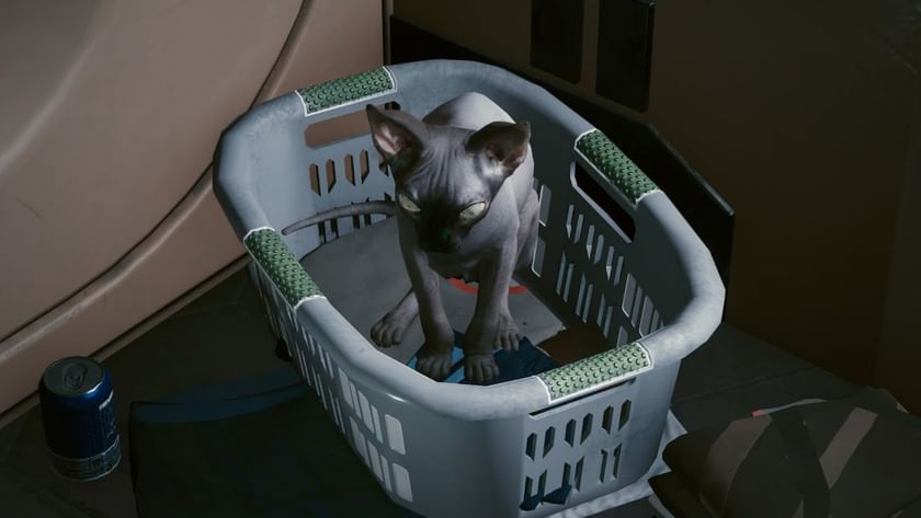 Cyberpunk 2077 patch 1.6 guide: How to pet a cat (Nibbles) in the game?