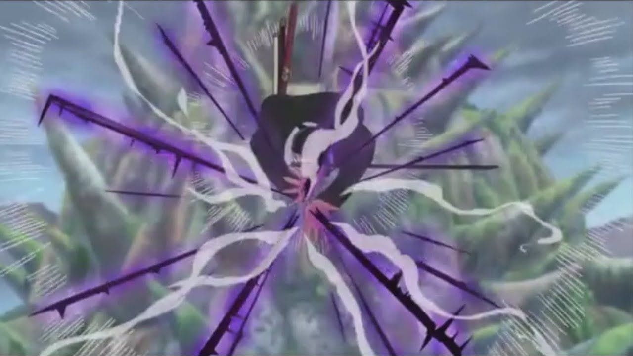When does Zoro use Haki?