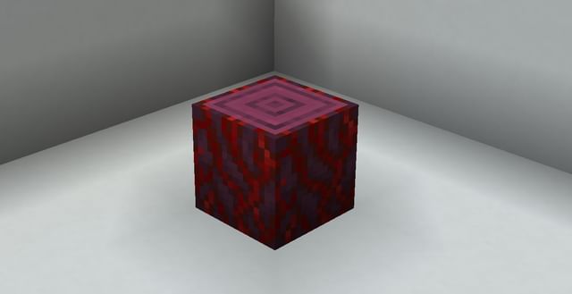 Crimson Stem Block in Minecraft