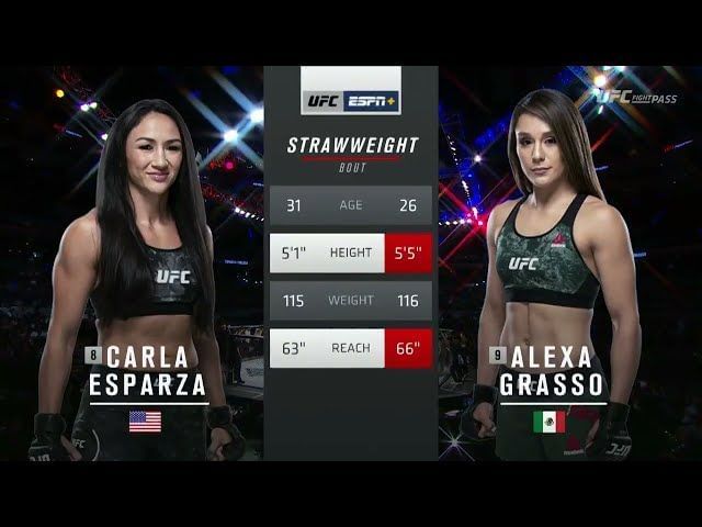 When is Alexa Grasso next fighting in the UFC?