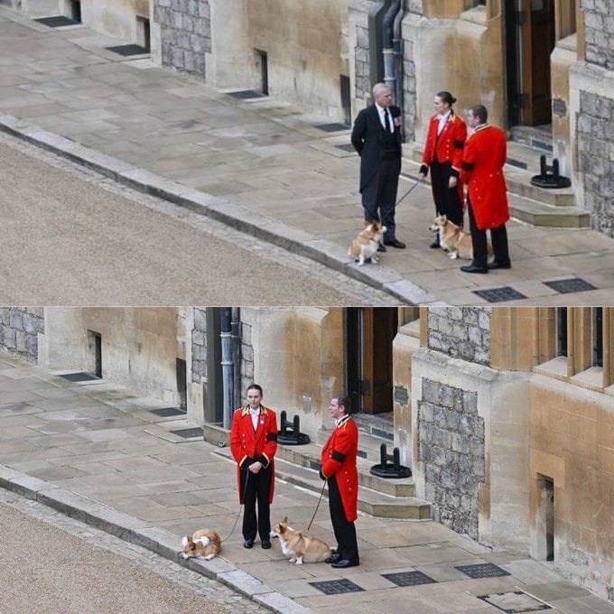 How many corgis has the Queen had in her lifetime? Image of last two ...