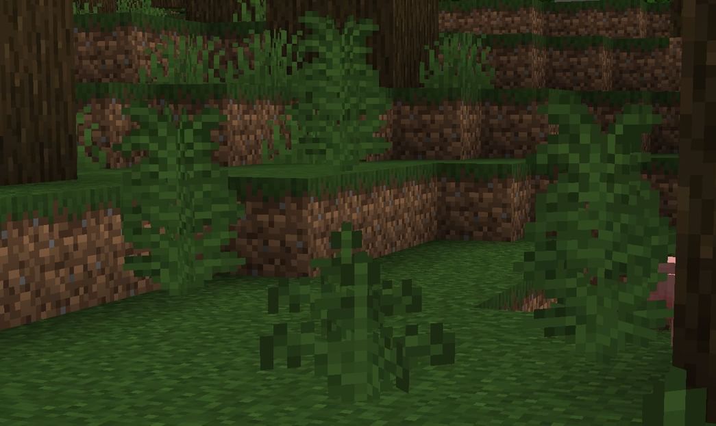 Fern in Minecraft