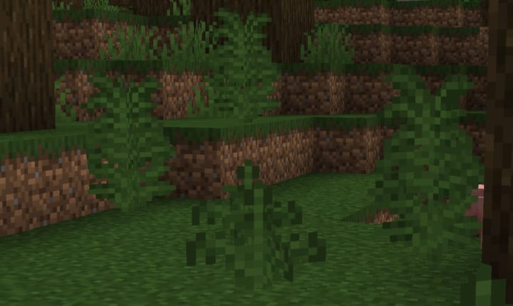 Fern in Minecraft