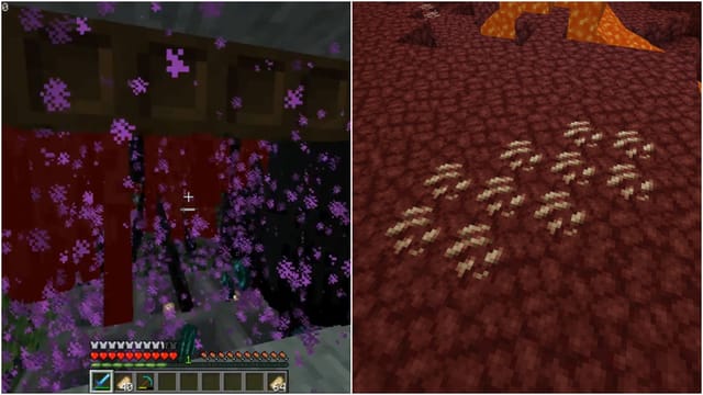 Top 5 fastest ways to get XP in Minecraft in 2022