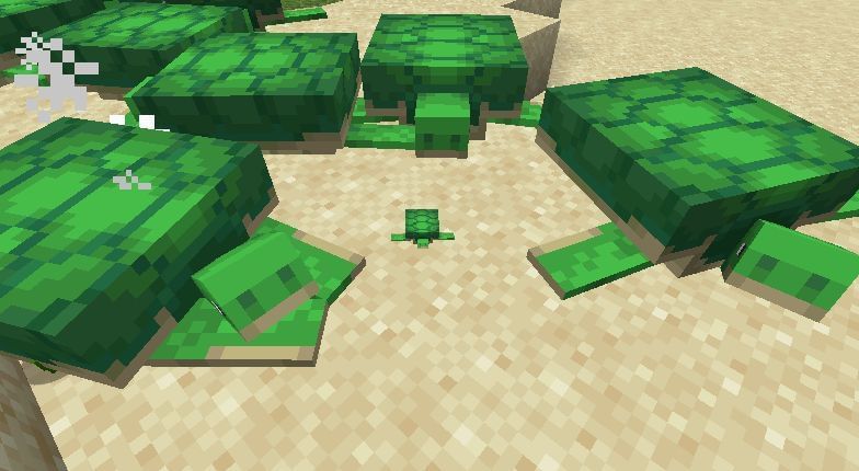 Turtle Egg in Minecraft
