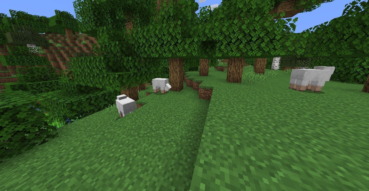 Forest in Minecraft