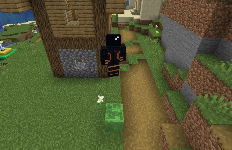 Slime Block in Minecraft