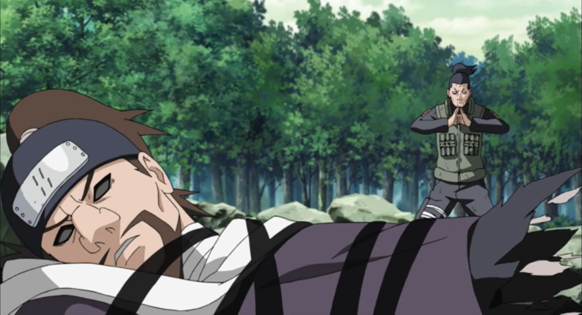 Who is Ensui Nara in Naruto?