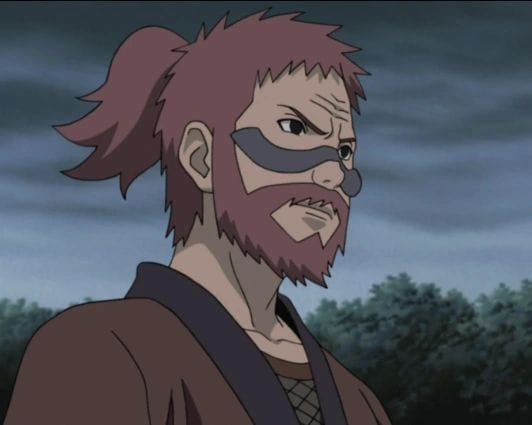 Who is Roshi in Naruto?