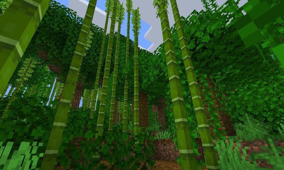 Bamboo Jungle in Minecraft