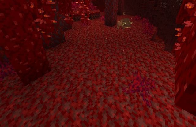 Nylium Block in Minecraft