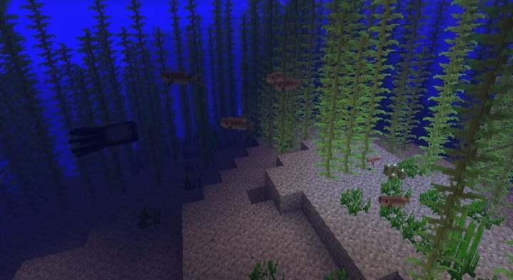 Cold Ocean in Minecraft