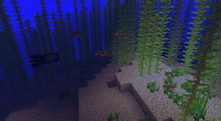 Cold Ocean in Minecraft