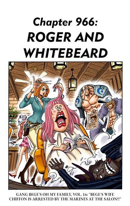 The SWORD group in One Piece, explained in detail