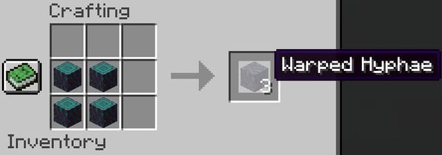 Warped Hyphae Block in Minecraft