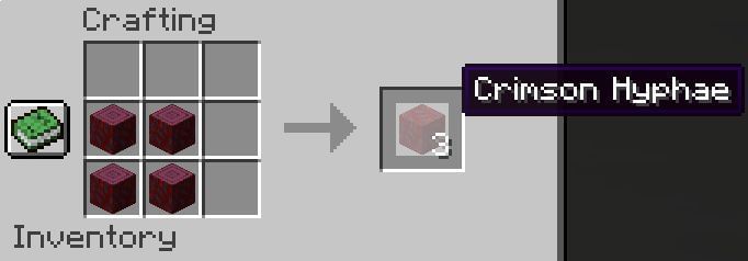 Crimson Hyphae Block in Minecraft