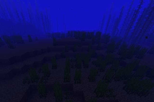 Deep Cold Ocean in Minecraft