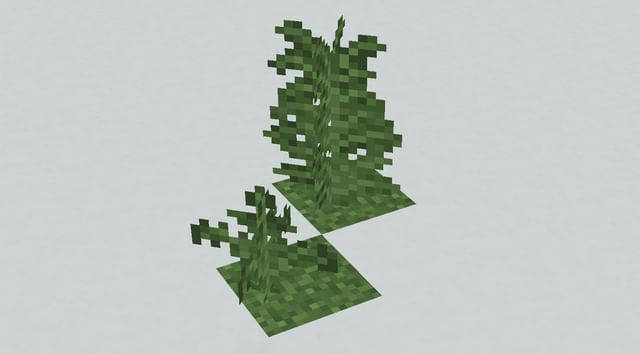Fern in Minecraft