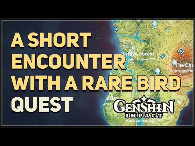A Short Encounter with a Rare Bird: Genshin Impact hidden Sumeru quest ...