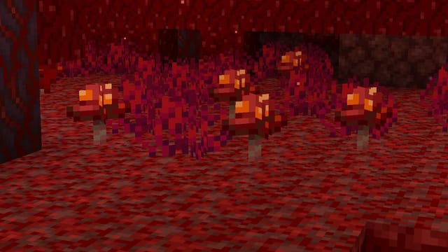 Nylium Block in Minecraft