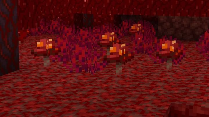 Nylium Block in Minecraft