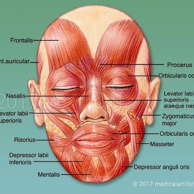 Dr. David Abbasi explains how ringside doctors excellently stitched up ...