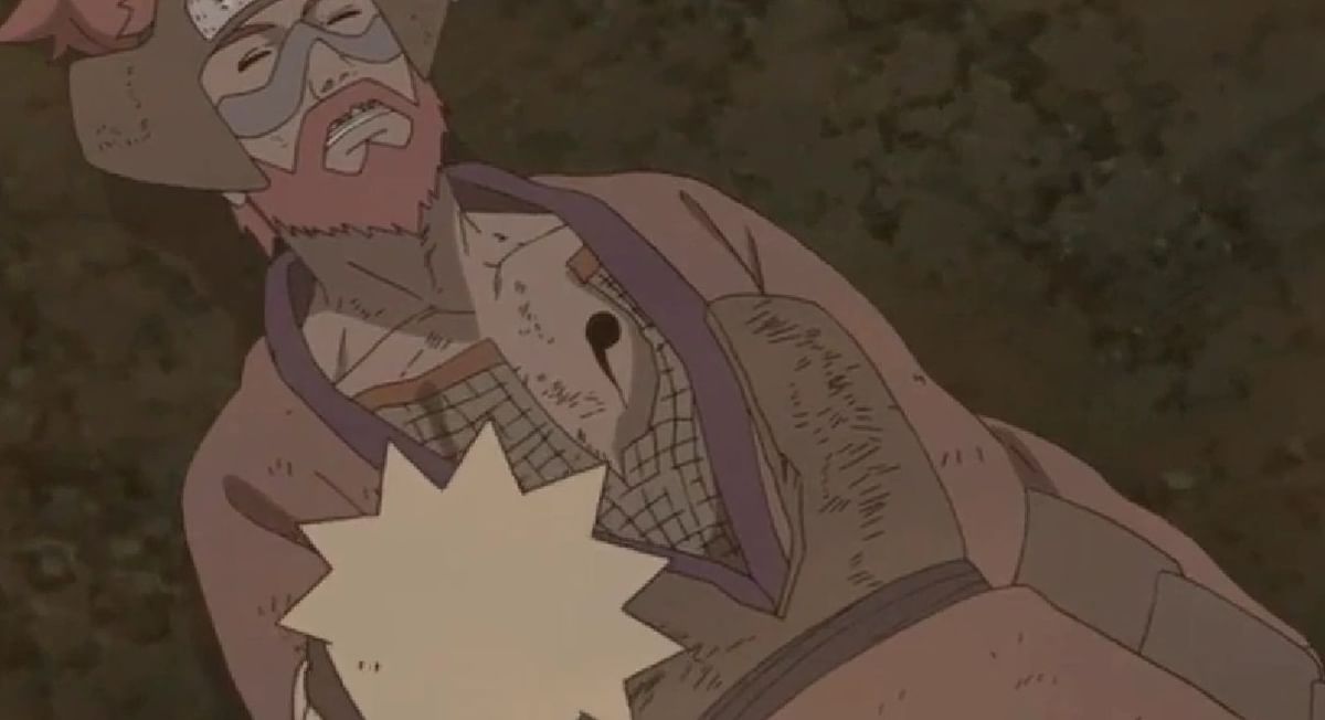 Who is Roshi in Naruto?