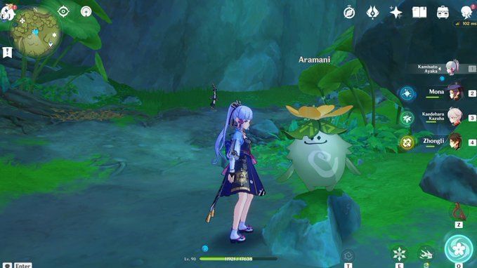 All Rukkhashava Mushroom locations in Genshin Impact