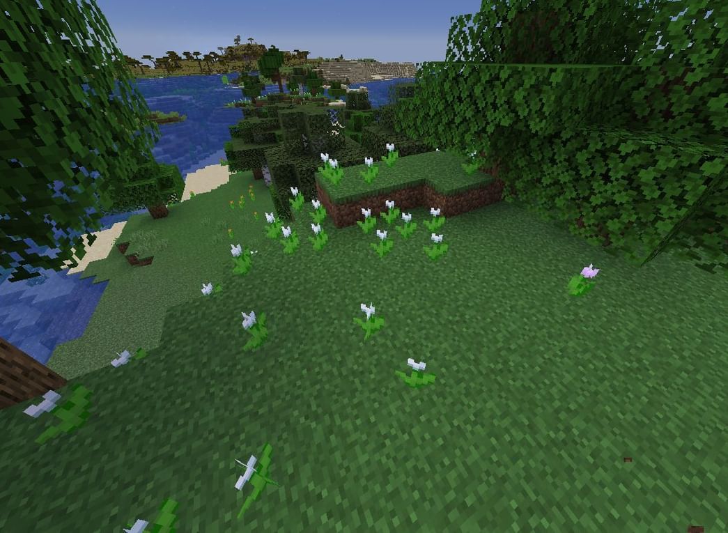 Flower Forest in Minecraft