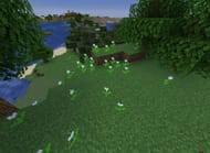 Flower Forest in Minecraft