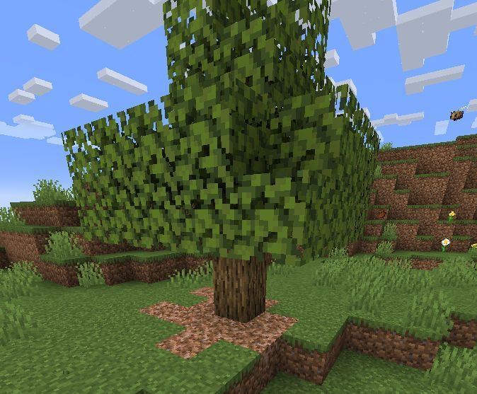 Rooted Dirt in Minecraft
